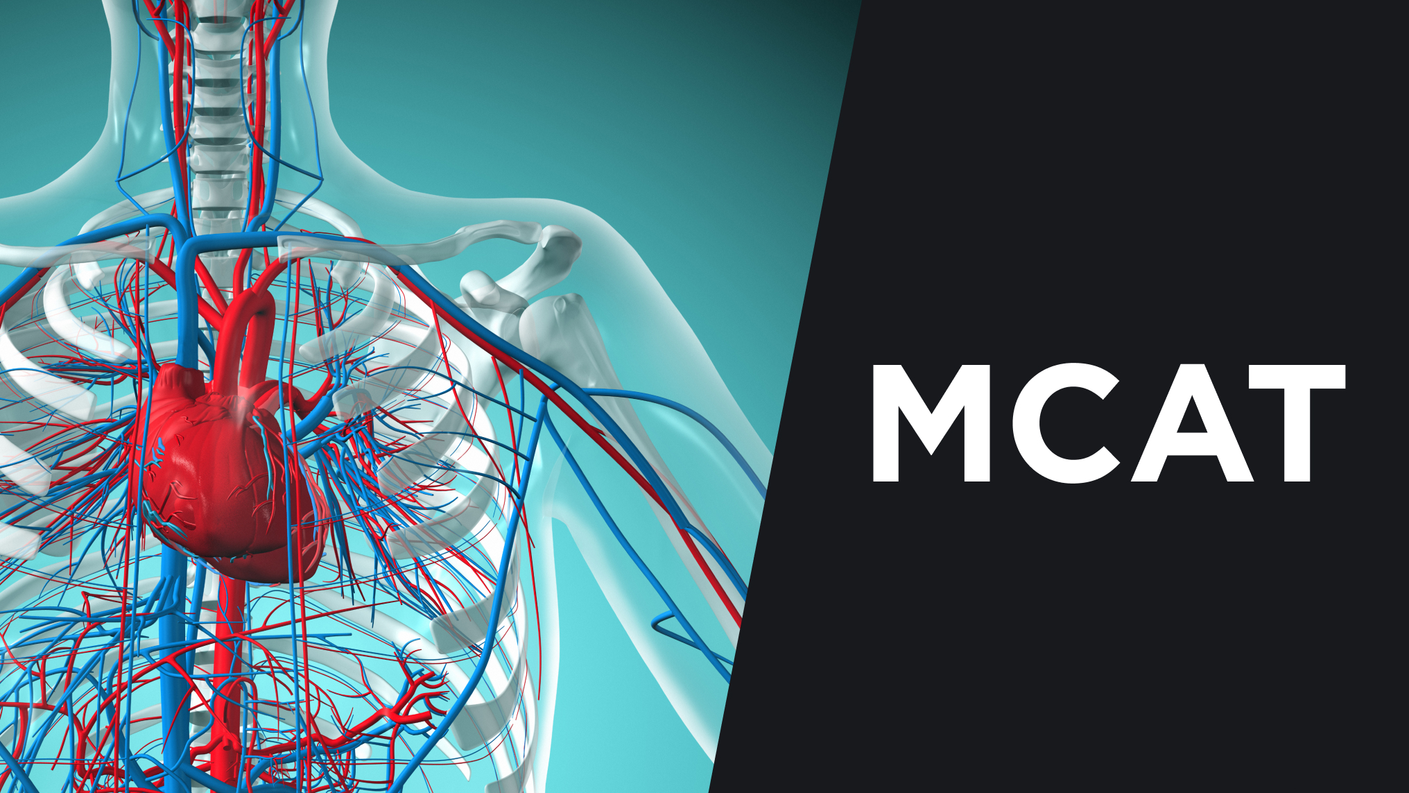 MCAT CARS (Critical Analysis and Reasoning Skills) Strategy 3-Week Class