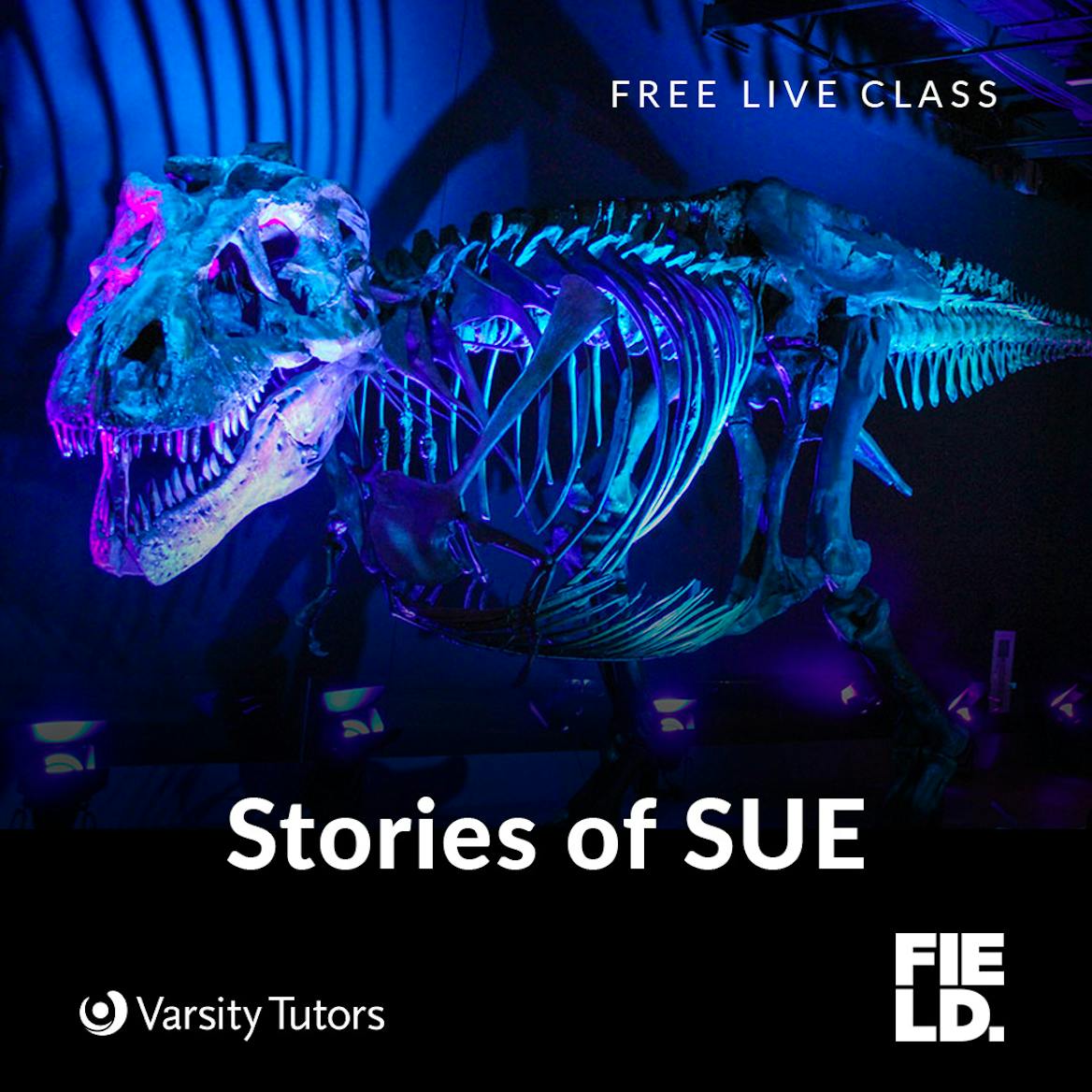 Stories of SUE, a Fantastic _T. rex_ Fossil