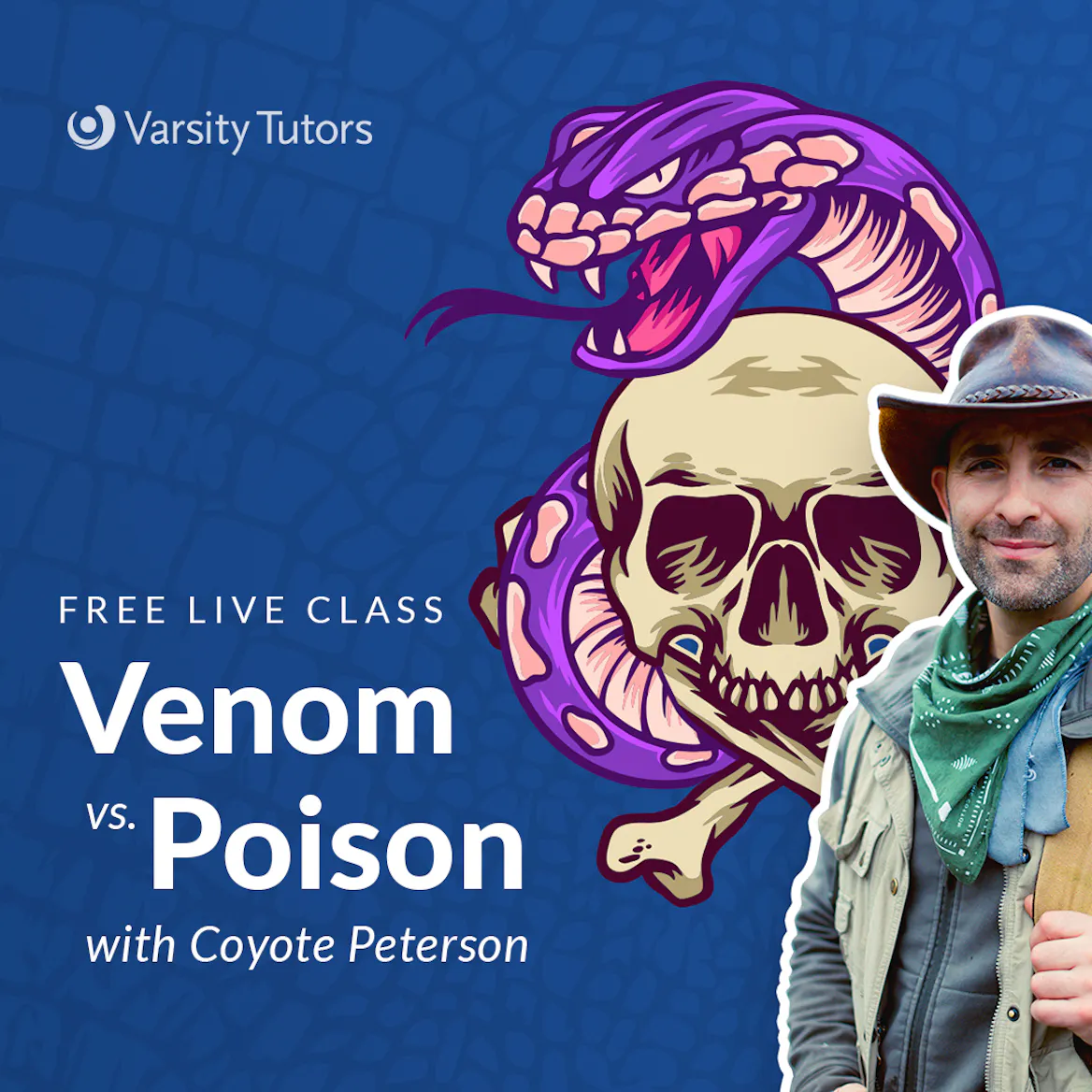 Venom vs. Poison