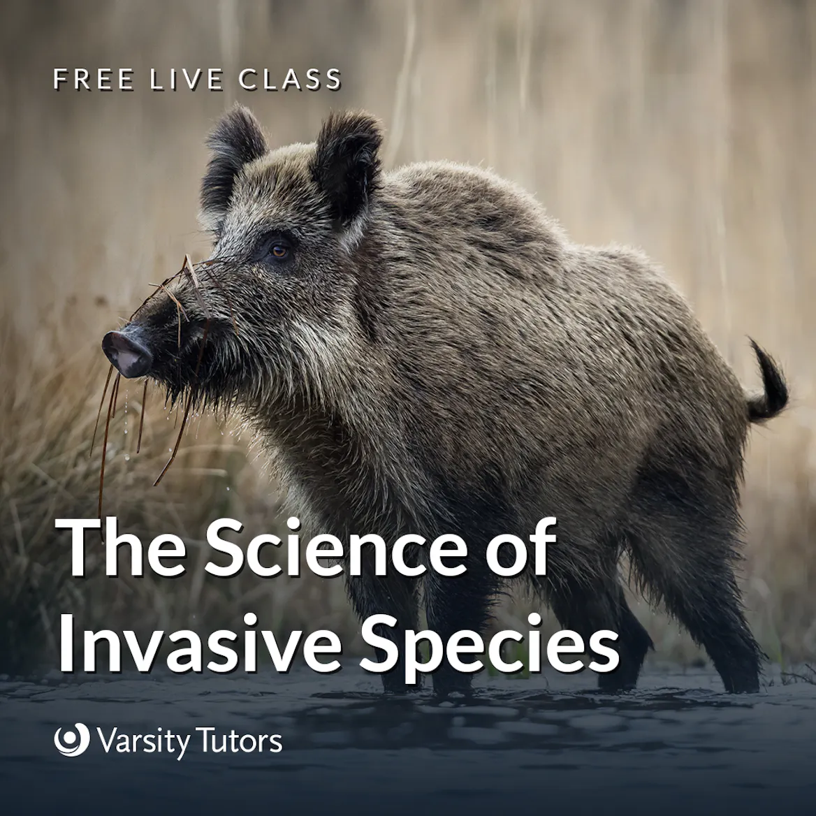 The Science of Invasive Species