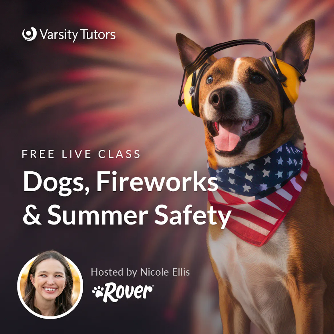 Rover Presents: Dogs, Fireworks, & Summer Safety