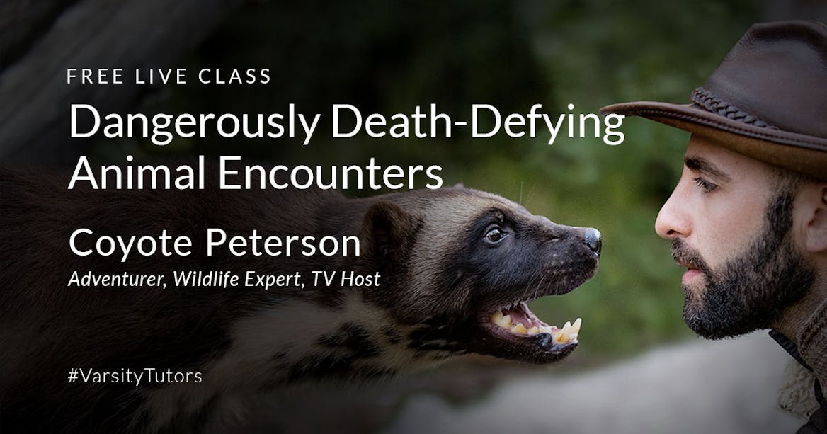 Dangerously Death-Defying Animal Encounters