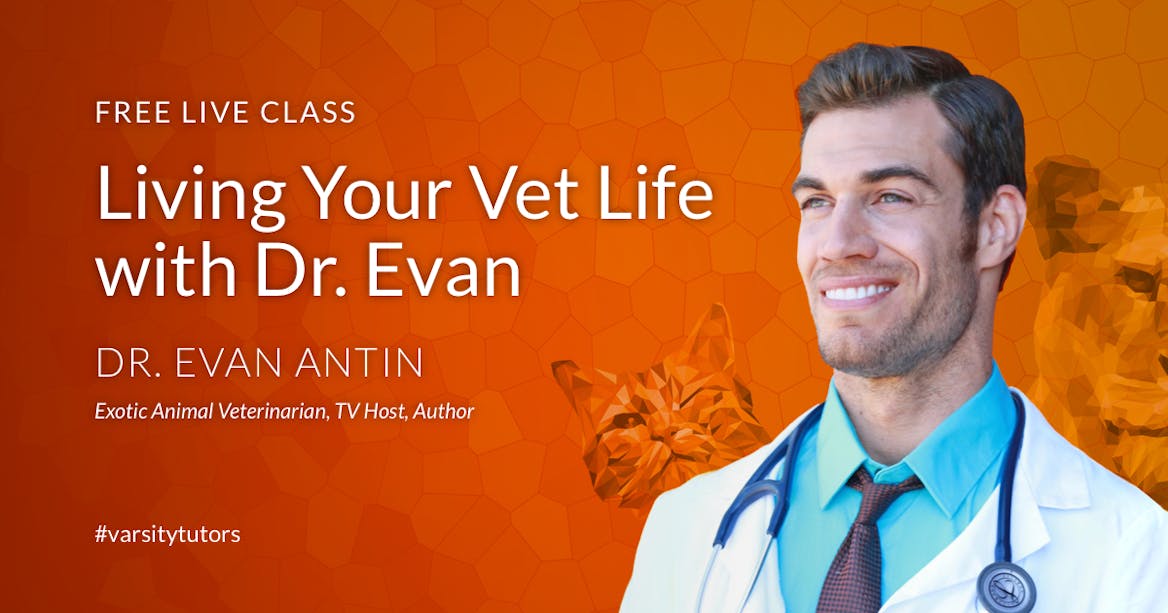 Living Your Vet Life with Dr. Evan