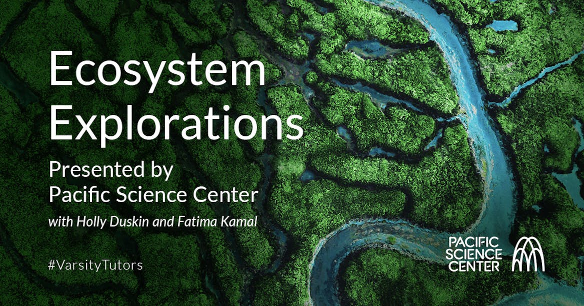 Ecosystem Explorations